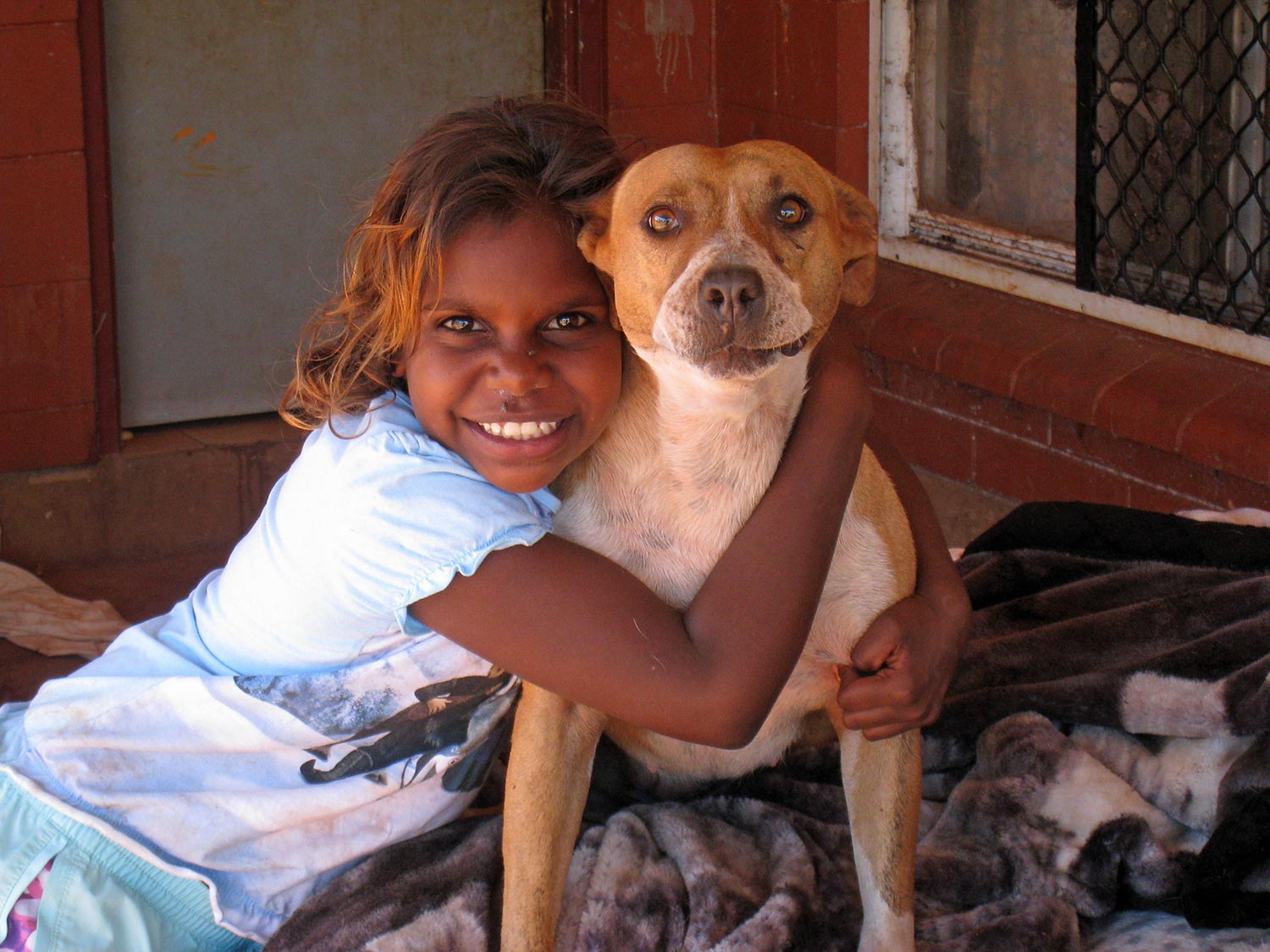 Healthy animals, Healthy communities - What does AMRRIC do?